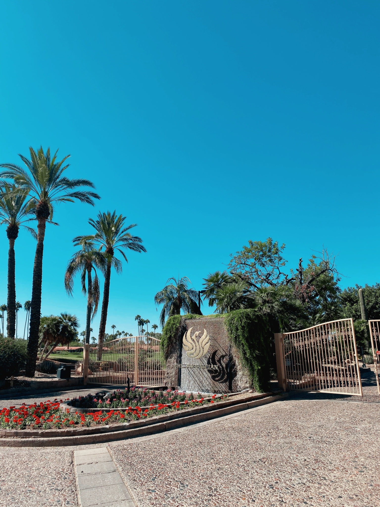 Scottsdale Round Two – savvyjanine